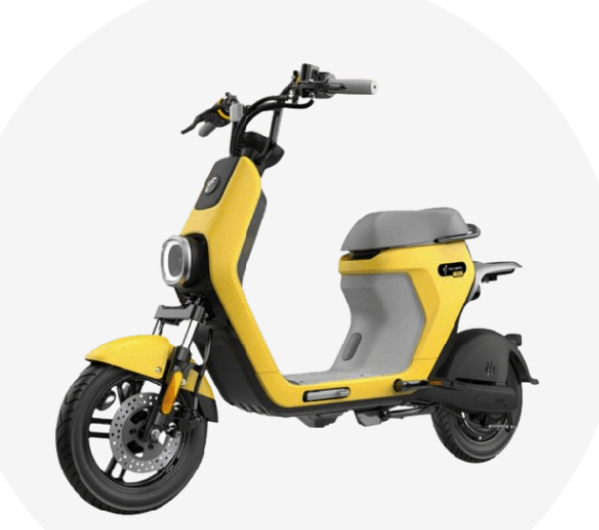 Segway Support